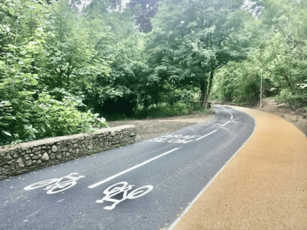 CORE TREE ROOT PROTECTOR - Tree Root Protection For Roads, Driveways