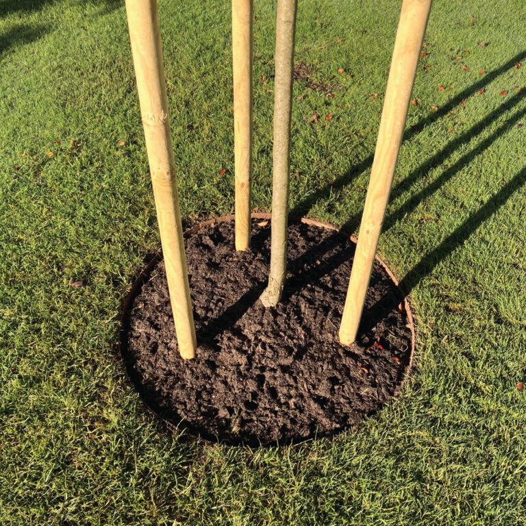 Corten Garden Tree Rings | 600mm, 900mm, 1200mm Diameters - CORE