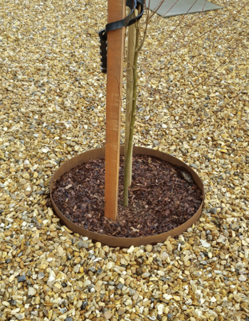 Corten Garden Tree Rings | 600mm, 900mm, 1200mm Diameters - CORE