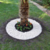 Garden Tree Rings | 600mm | 900mm | 1200mm | Galvanised, Black, Brown ...