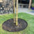 Garden Tree Rings | 600mm | 900mm | 1200mm | Galvanised, Black, Brown ...