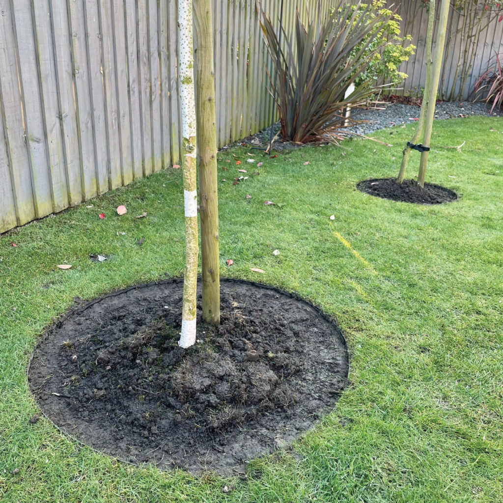 Garden Tree Rings | 600mm | 900mm | 1200mm | Galvanised, Black, Brown ...