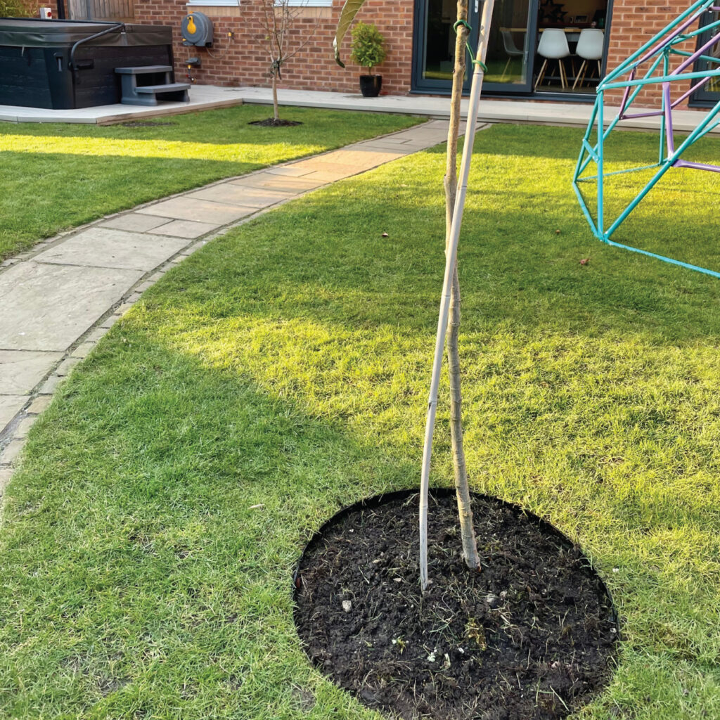 Garden Tree Rings | 600mm | 900mm | 1200mm | Galvanised, Black, Brown ...
