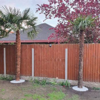 Garden Tree Rings | 600mm | 900mm | 1200mm | Galvanised, Black, Brown ...