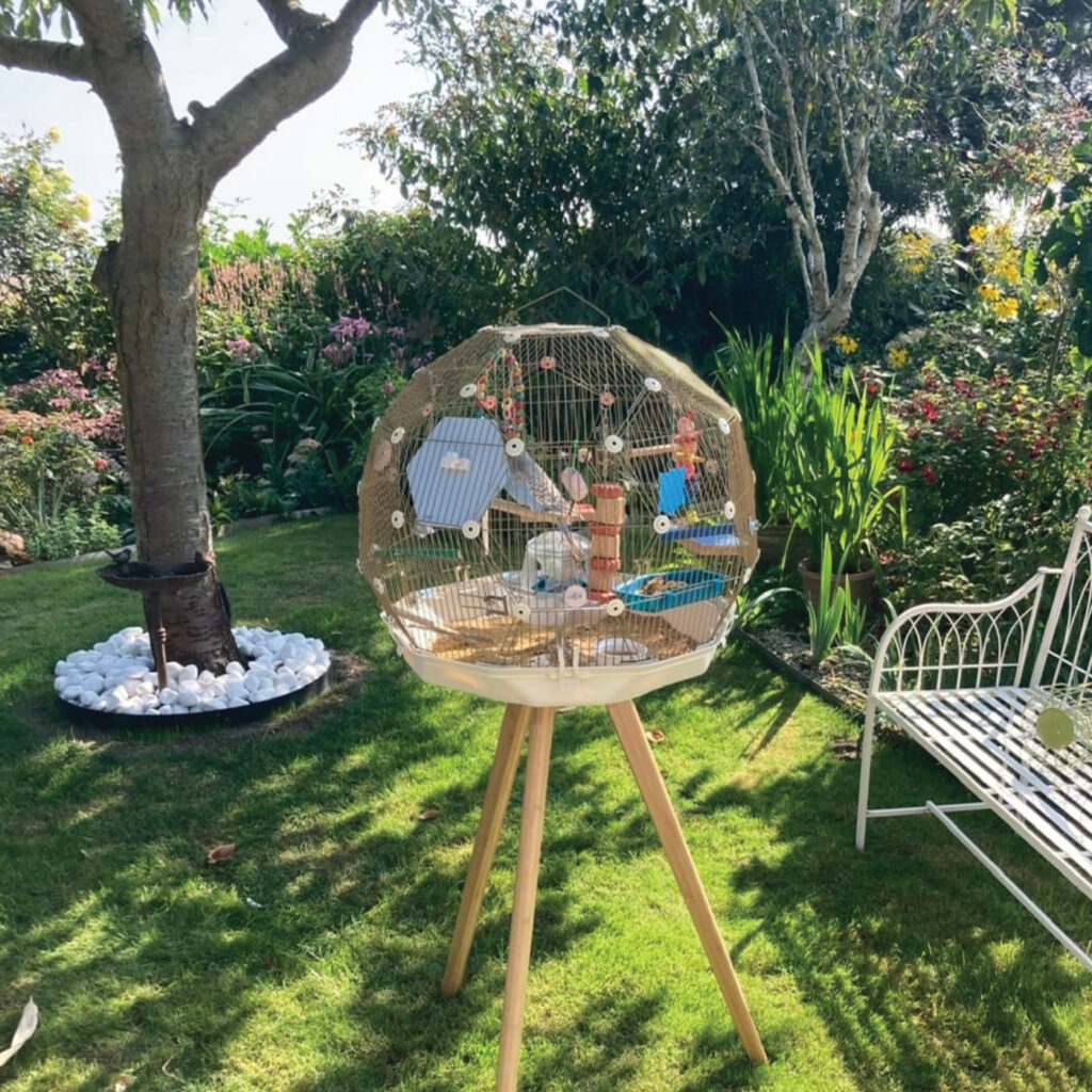 Garden Tree Rings | 600mm | 900mm | 1200mm | Galvanised, Black, Brown ...